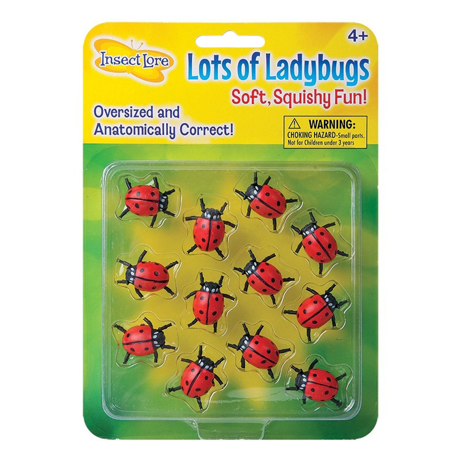Lots Of Ladybugs – Loomini