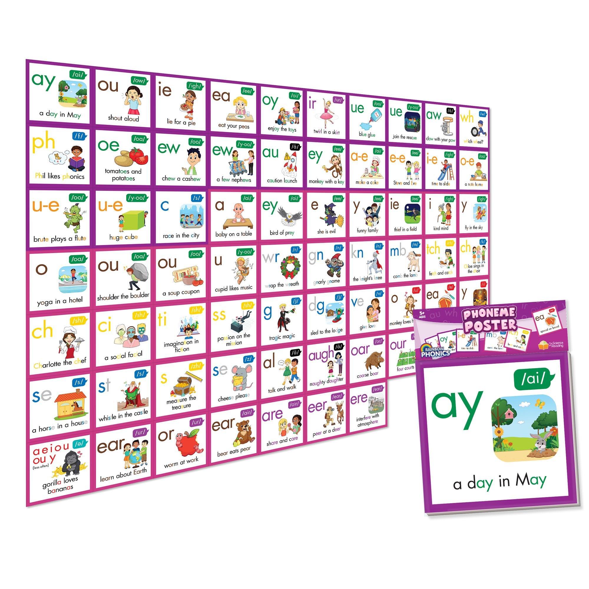 Rainbow Phonics Phoneme Poster – Loomini