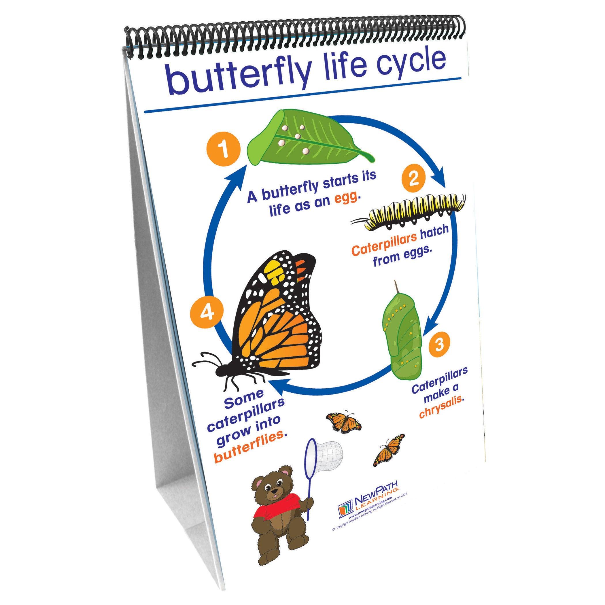 Early Childhood Science Readiness Flip Charts, All About Animals ...